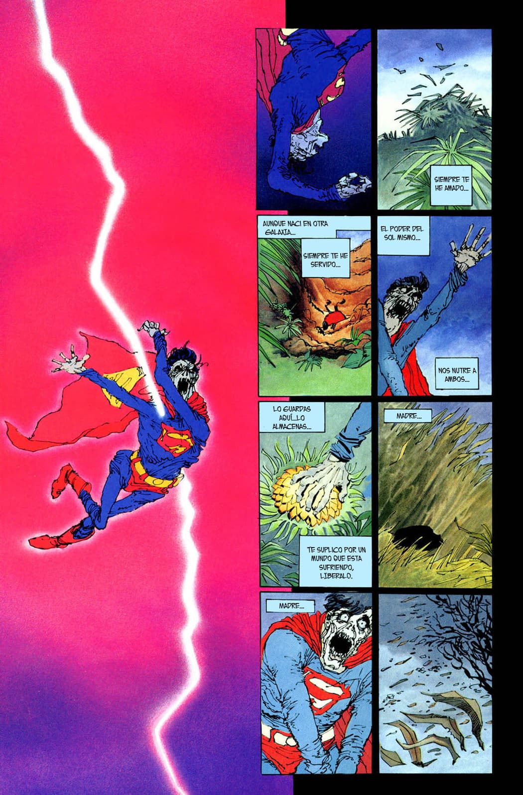 The Dark Knight Returns – Tenth Anniversary Edition- (1996) - Marmota ...