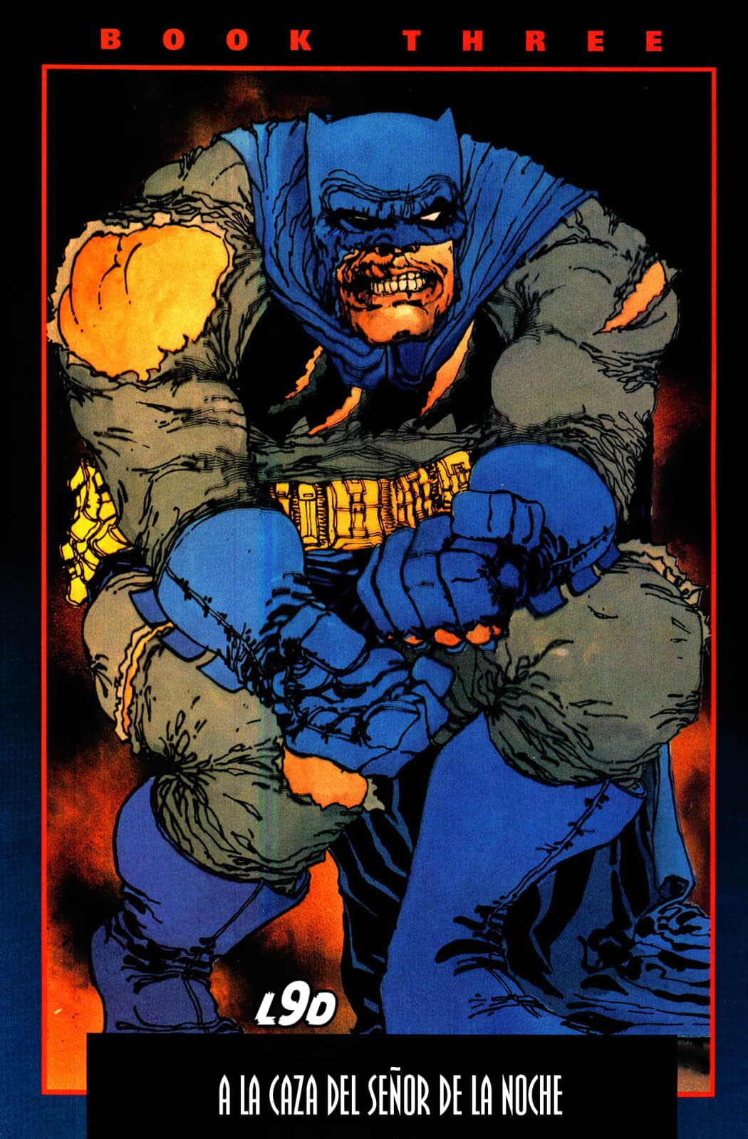 The Dark Knight Returns – Tenth Anniversary Edition- (1996) - Marmota ...